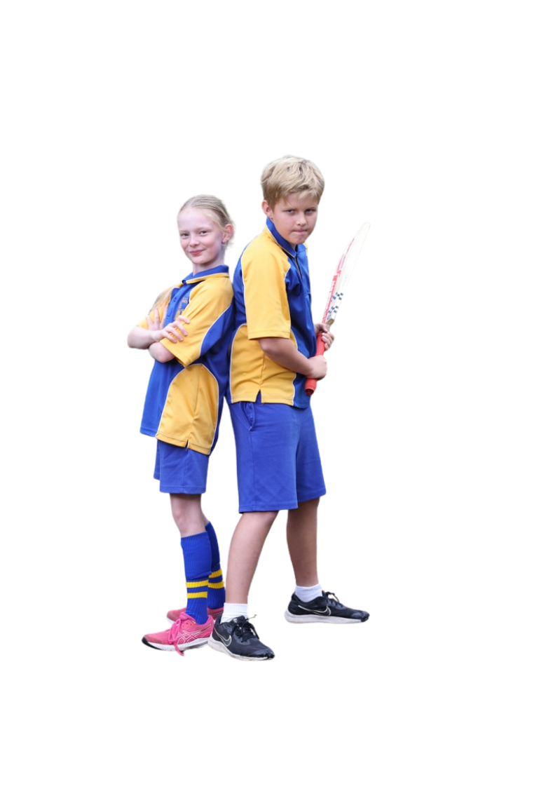 PSSA – Wakehurst Public School P&C